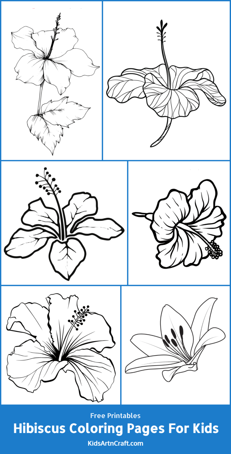 Hibiscus Coloring Pages For Kids – Free Printables - Kids Art & Craft