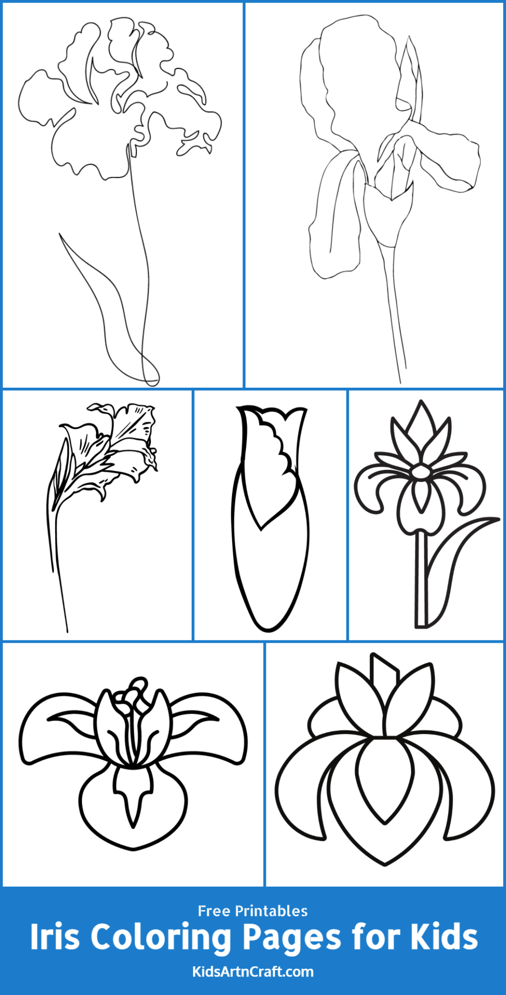 Iris Coloring Pages For Kids – Free Printables - Kids Art & Craft