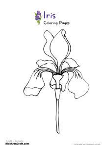 Iris Coloring Pages For Kids – Free Printables - Kids Art & Craft