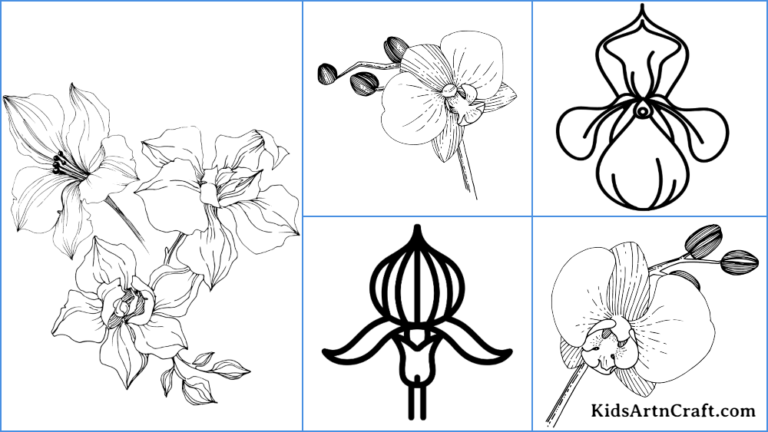 Lady's Slipper Orchid Coloring Pages For Kids – Free Printables - Kids ...