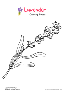 Lavender Coloring Pages For Kids – Free Printables - Kids Art & Craft