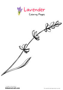 Lavender Coloring Pages For Kids – Free Printables - Kids Art & Craft