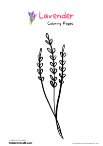 Lavender Coloring Pages For Kids – Free Printables - Kids Art & Craft