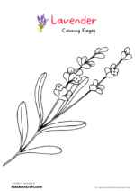 Lavender Coloring Pages For Kids – Free Printables - Kids Art & Craft