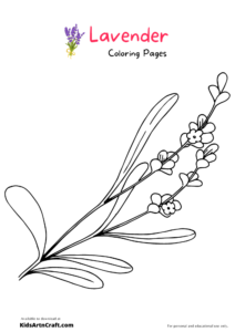 Lavender Coloring Pages For Kids – Free Printables - Kids Art & Craft