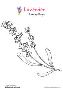 Lavender Coloring Pages For Kids – Free Printables - Kids Art & Craft