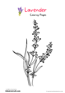 Lavender Coloring Pages For Kids – Free Printables - Kids Art & Craft