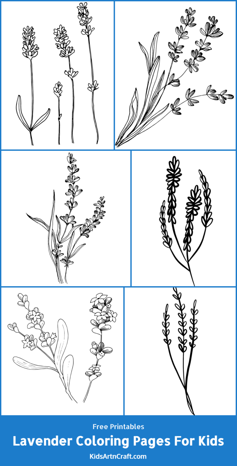 Lavender Coloring Pages For Kids – Free Printables - Kids Art & Craft