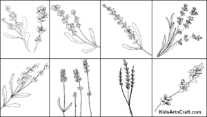 Lavender Coloring Pages For Kids – Free Printables - Kids Art & Craft