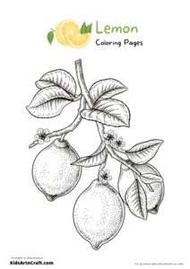 Lemon Coloring Pages For Kids – Free Printables - Kids Art & Craft