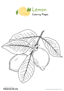 Lemon Coloring Pages For Kids – Free Printables - Kids Art & Craft