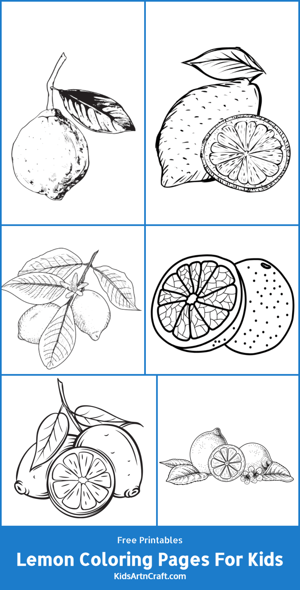 Lemon Coloring Pages For Kids – Free Printables - Kids Art & Craft