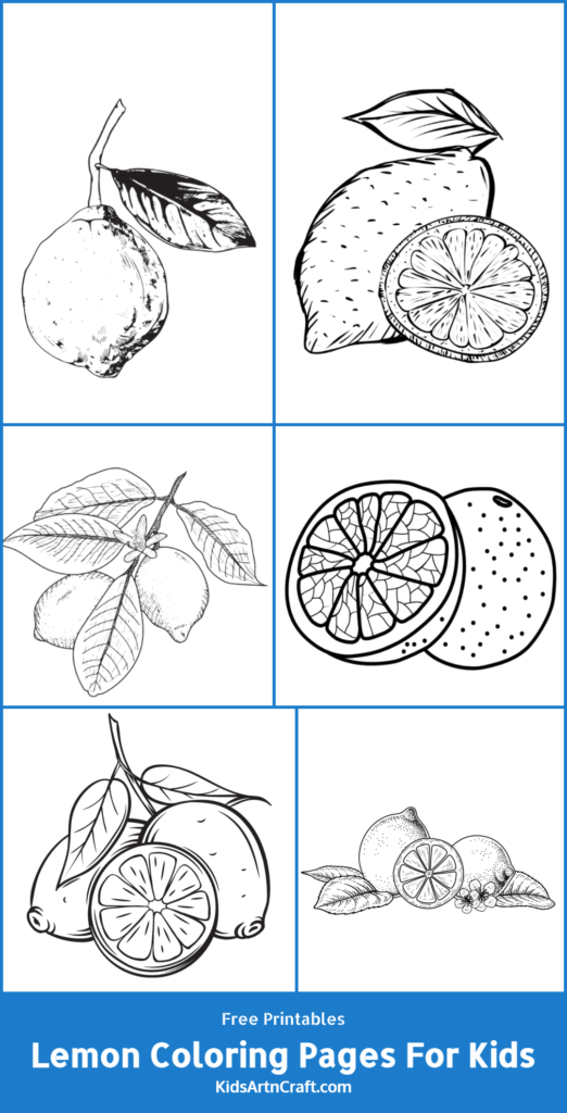 Lemon Coloring Pages For Kids – Free Printables - Kids Art & Craft