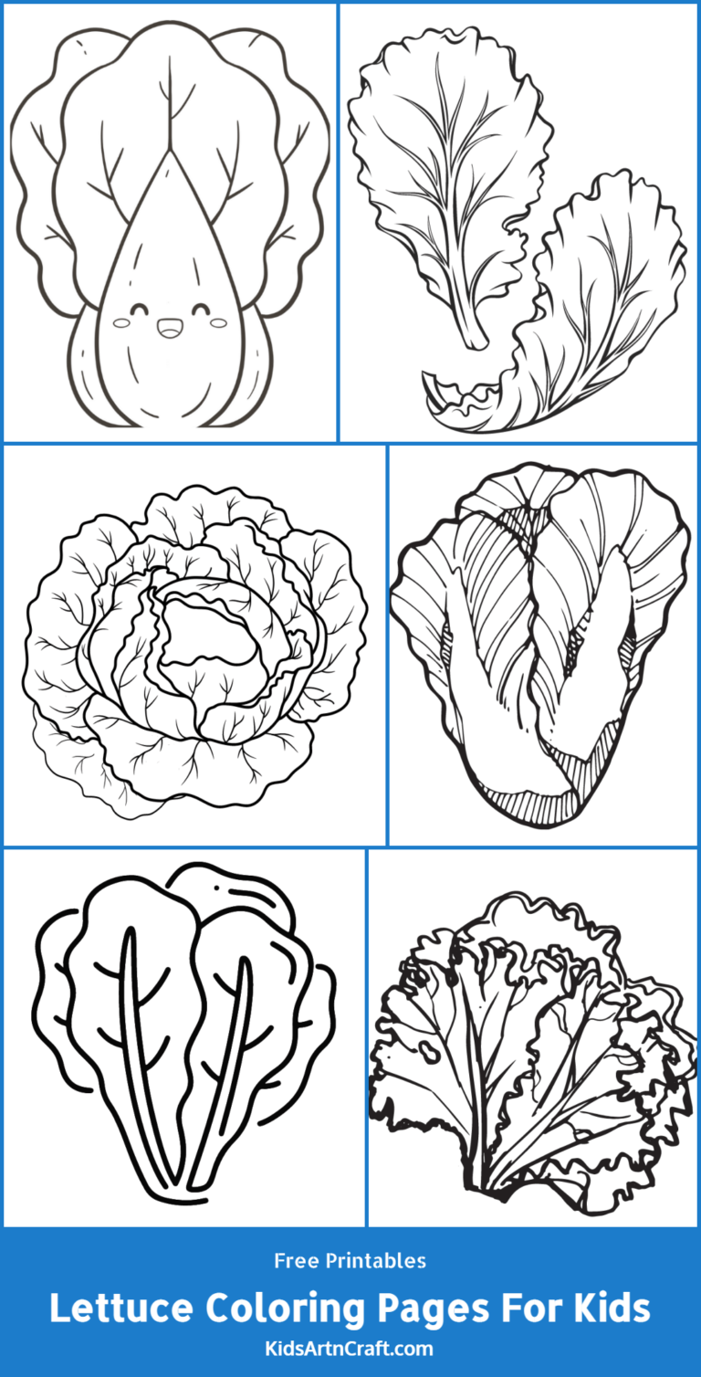 Lettuce Coloring Pages For Kids – Free Printables - Kids Art & Craft