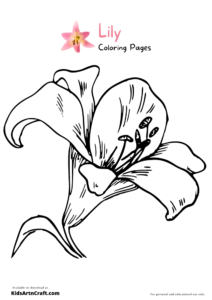 Lily Coloring Pages For Kids – Free Printables - Kids Art & Craft