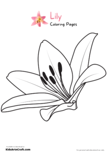 Lily Coloring Pages For Kids – Free Printables - Kids Art & Craft