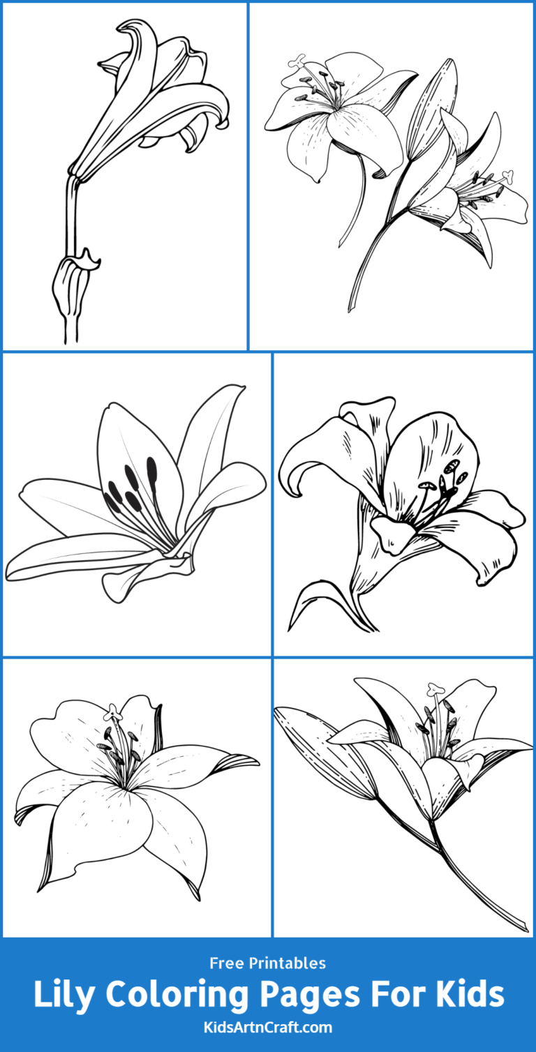 Lily Coloring Pages For Kids – Free Printables - Kids Art & Craft