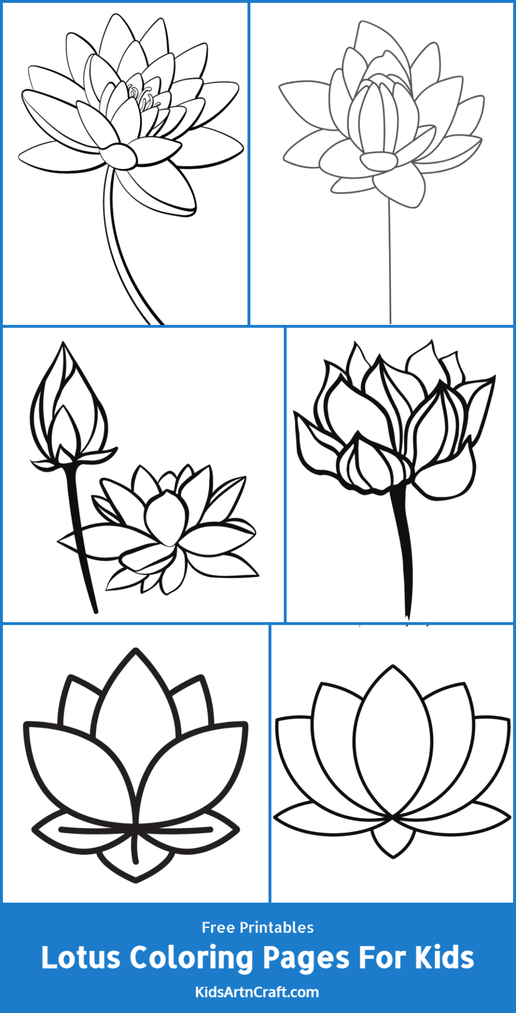 Lotus Coloring Pages For Kids – Free Printables - Kids Art & Craft