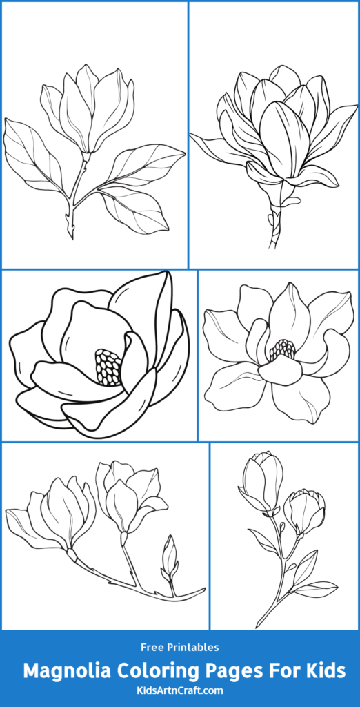 Magnolia Coloring Pages For Kids – Free Printables - Kids Art & Craft