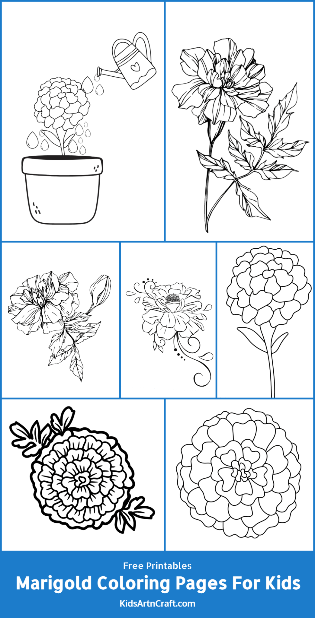 Marigold Coloring Pages For Kids – Free Printables - Kids Art & Craft