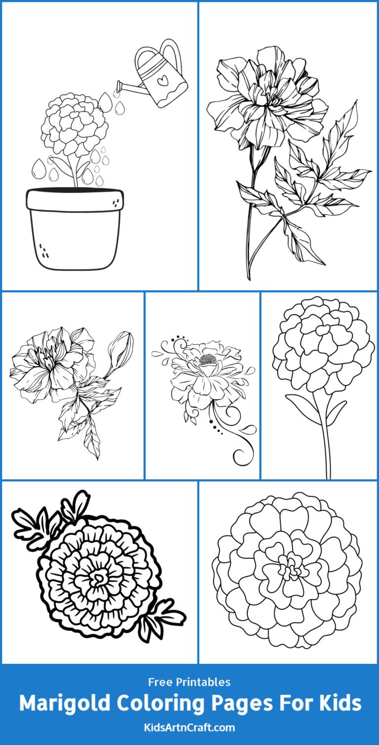 Marigold Coloring Pages For Kids – Free Printables - Kids Art & Craft