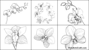 Orchid Coloring Pages For Kids – Free Printables - Kids Art & Craft