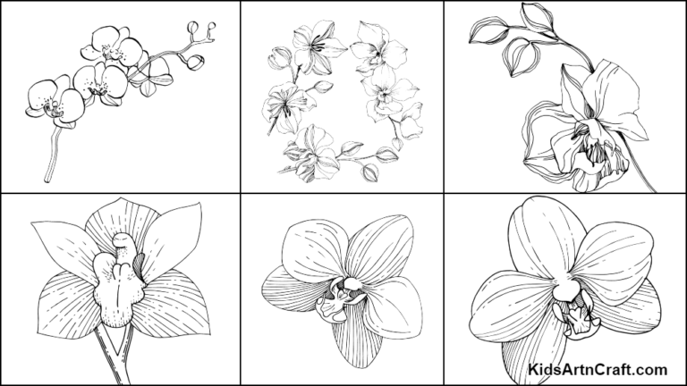 Orchid Coloring Pages For Kids – Free Printables - Kids Art & Craft