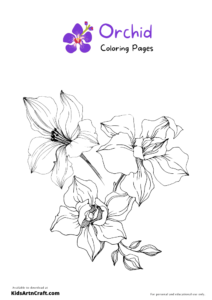 Orchid Coloring Pages For Kids – Free Printables - Kids Art & Craft