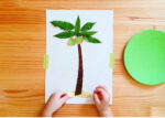 Coconut Crafts & Activities for School - Kids Art & Craft