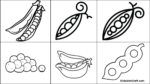 Pea Coloring Pages For Kids – Free Printables - Kids Art & Craft