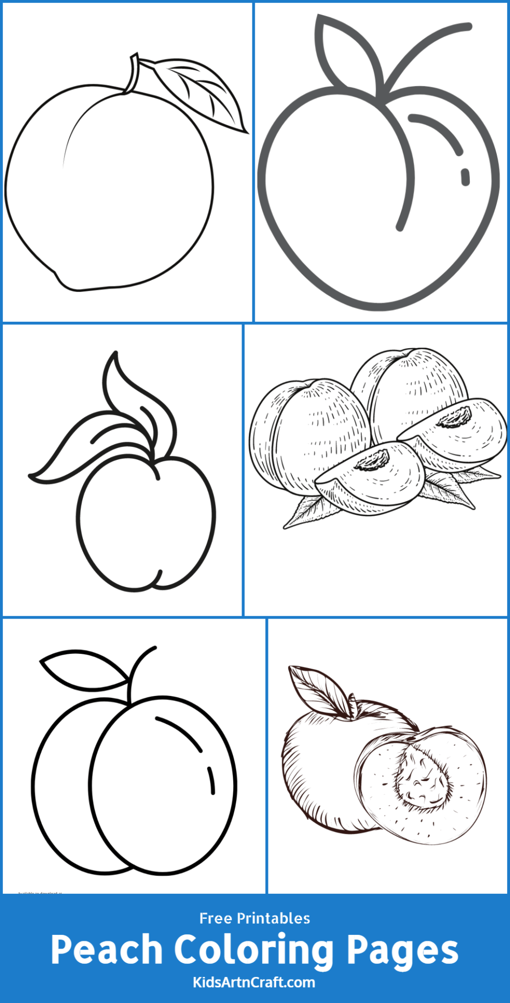 Peach Coloring Pages For Kids – Free Printables - Kids Art & Craft