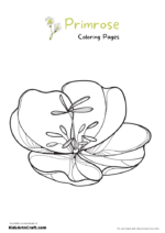 Primrose Coloring Pages For Kids – Free Printables - Kids Art & Craft