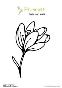 Primrose Coloring Pages For Kids – Free Printables - Kids Art & Craft