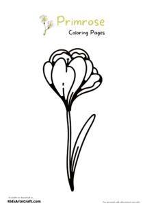 Primrose Coloring Pages For Kids – Free Printables - Kids Art & Craft