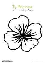 Primrose Coloring Pages For Kids – Free Printables - Kids Art & Craft