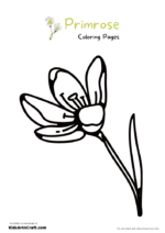 Primrose Coloring Pages For Kids – Free Printables - Kids Art & Craft