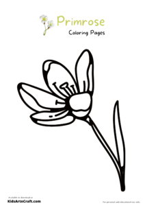 Primrose Coloring Pages For Kids – Free Printables - Kids Art & Craft