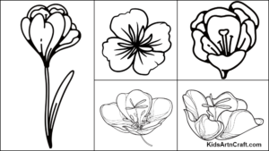 Primrose Coloring Pages For Kids – Free Printables - Kids Art & Craft