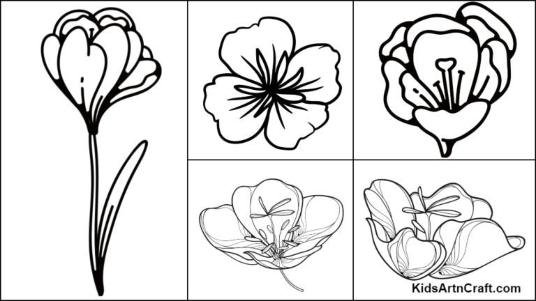 Primrose Coloring Pages For Kids – Free Printables - Kids Art & Craft