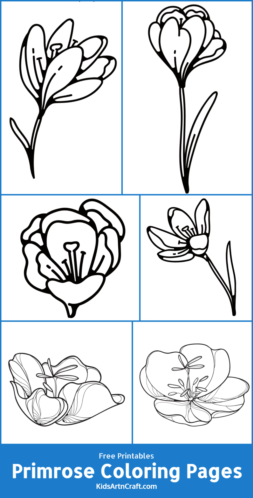 Primrose Coloring Pages For Kids – Free Printables - Kids Art & Craft