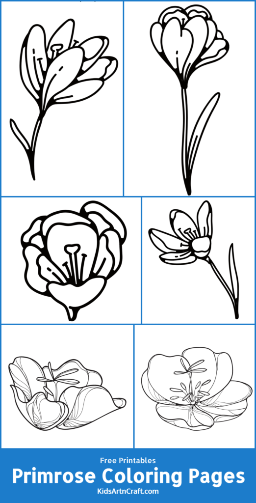 Primrose Coloring Pages For Kids – Free Printables - Kids Art & Craft