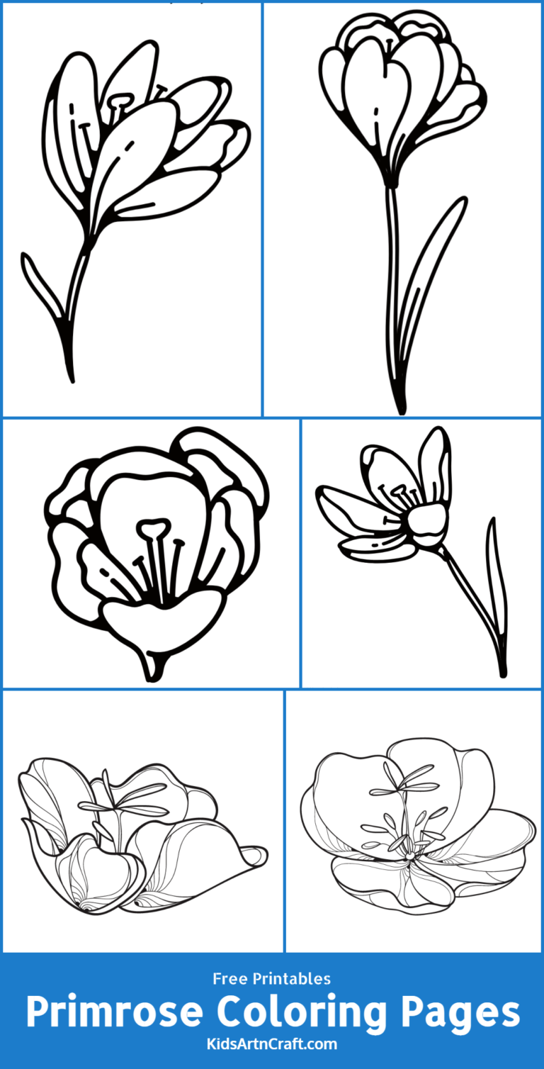 Primrose Coloring Pages For Kids – Free Printables - Kids Art & Craft