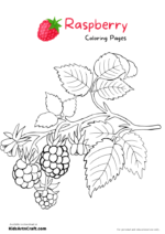 Raspberry Coloring Pages For Kids – Free Printables - Kids Art & Craft