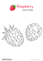 Raspberry Coloring Pages For Kids – Free Printables - Kids Art & Craft