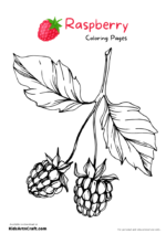 Raspberry Coloring Pages For Kids – Free Printables - Kids Art & Craft