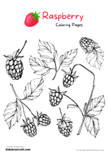Raspberry Coloring Pages For Kids – Free Printables - Kids Art & Craft