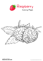 Raspberry Coloring Pages For Kids – Free Printables - Kids Art & Craft