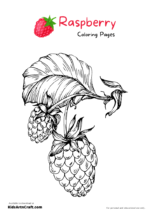 Raspberry Coloring Pages For Kids – Free Printables - Kids Art & Craft