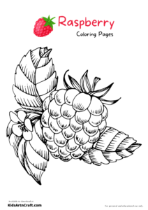 Raspberry Coloring Pages For Kids – Free Printables - Kids Art & Craft