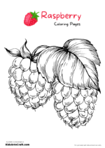 Raspberry Coloring Pages For Kids – Free Printables - Kids Art & Craft